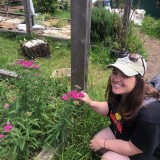 Find a Medical Herbalist » New Zealand Association of Medical Herbalists